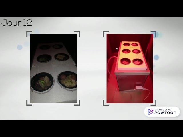 #PI²4 Système de potager connecté et personal food computer | ESILV ...