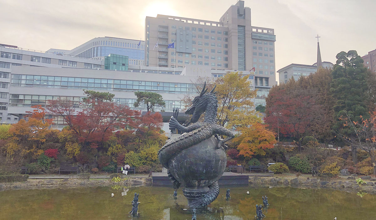 Nathan, promo 2024, un semestre en Corée du Sud, à Chung-Ang University ...